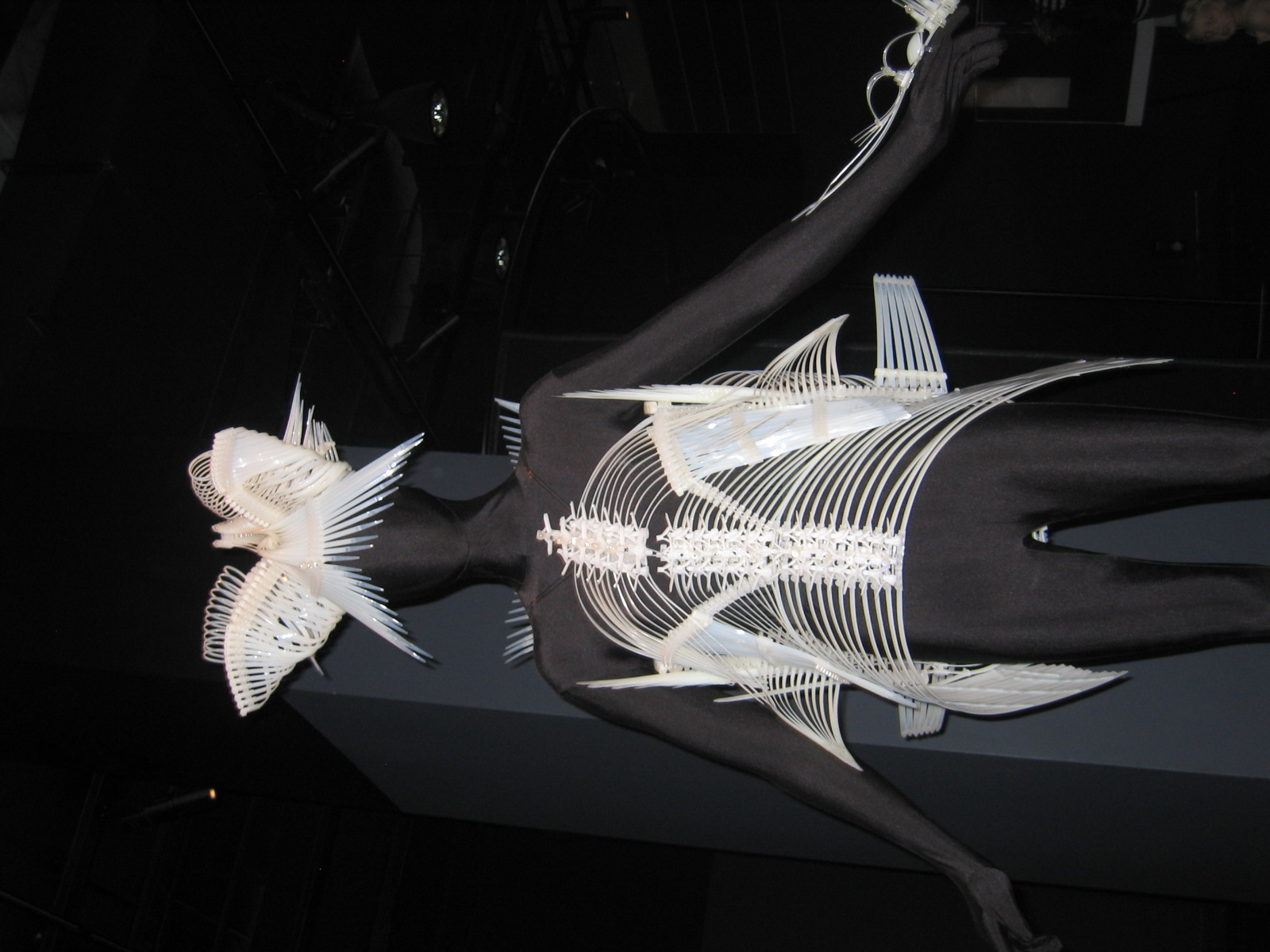 Auckland Museum - World of Wearable Arts Exhibit